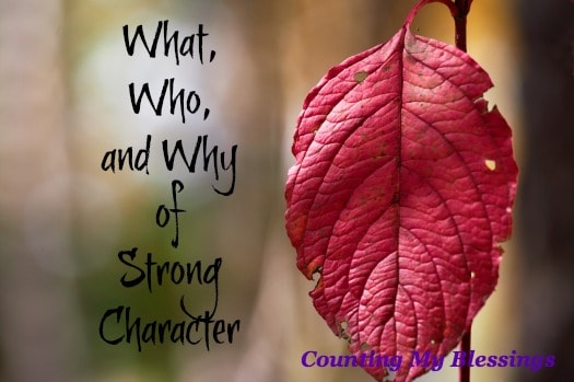 What, Who, and Why of Strong Character