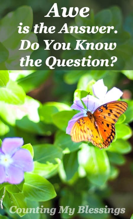 Awe is the Answer - Do You Know the Question? - Counting My Blessings