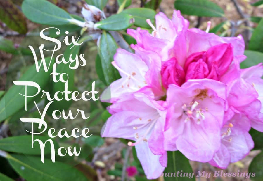 Six Ways to Protect Your Personal Peace Now - Counting My Blessings Six Ways to Protect Your Personal Peace Now - Counting My Blessings