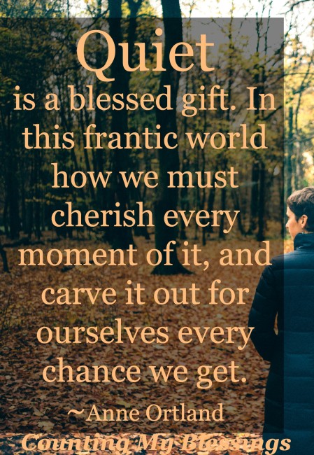 Thankful Thirty – Why You Need the Blessing of Quiet – Counting My ...
