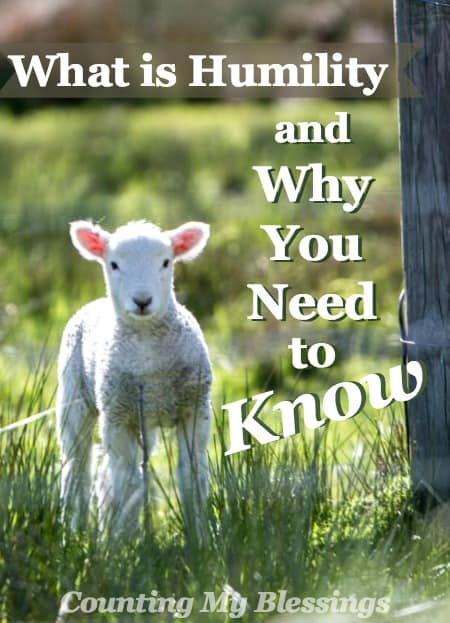 What is Humility and Why You Need to Know – Counting My Blessings