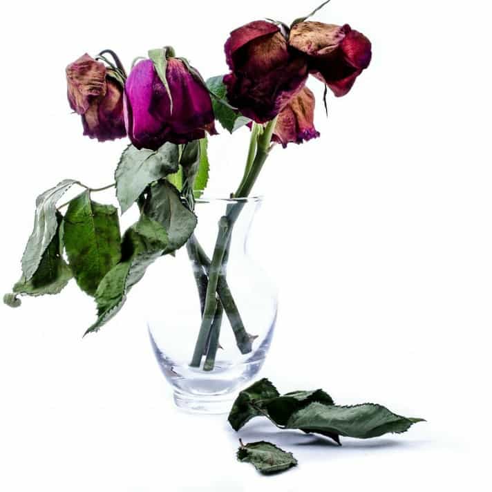 2 Important Things You Need To Know About Grief Counting My Blessings