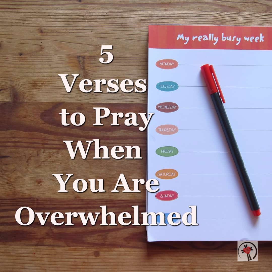 5 Verses to Pray When You Are Overwhelmed – Counting My Blessings