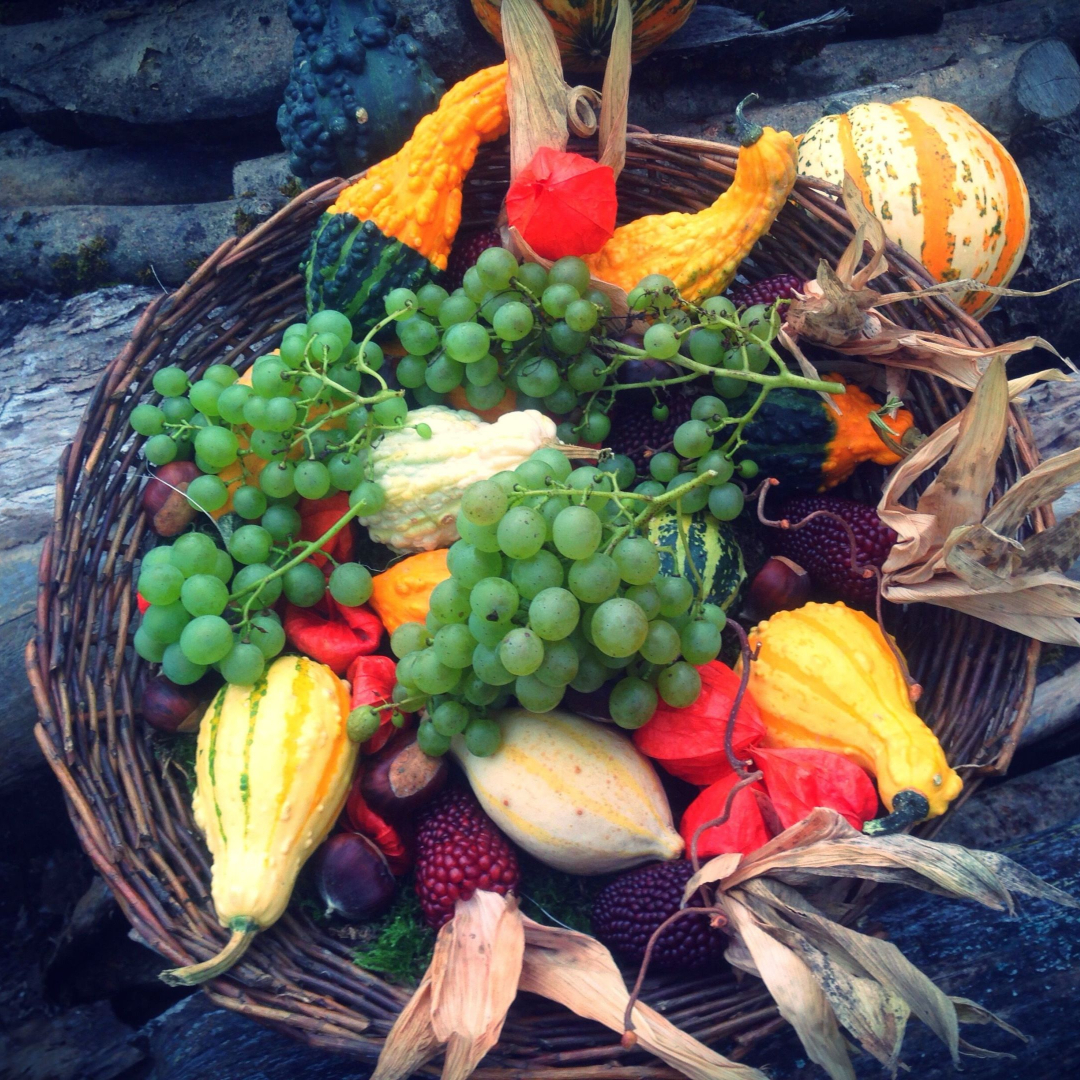 Vitamin G is the Supplement that will Bless Your Life | CMB