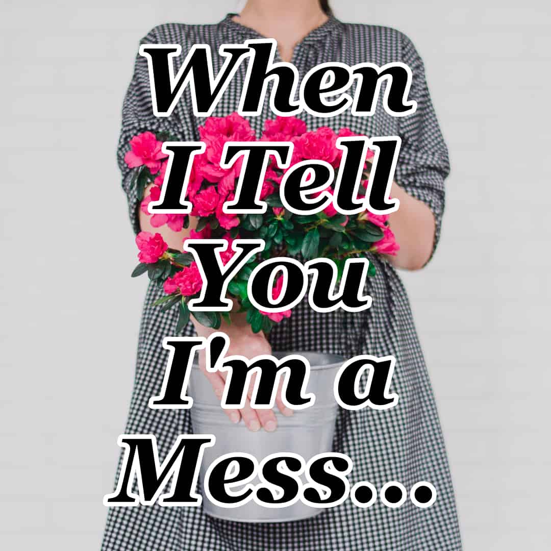 When I Tell You I'm a Mess... | Counting My Blessings