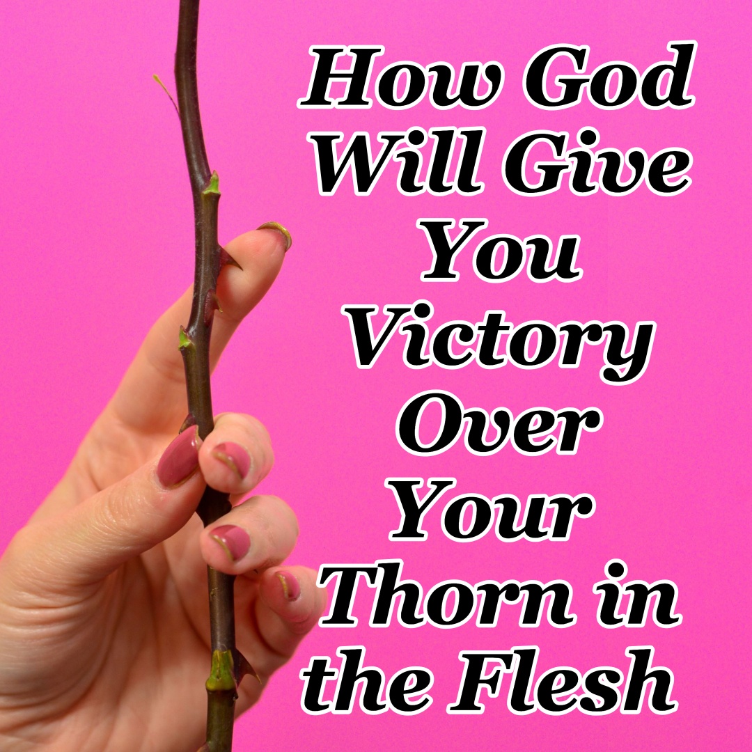 How God Will Give You Victory Over Your Thorn In The Flesh CMB how-god-will-give-you-victory-over-your-thorn-in-the-flesh-cmb