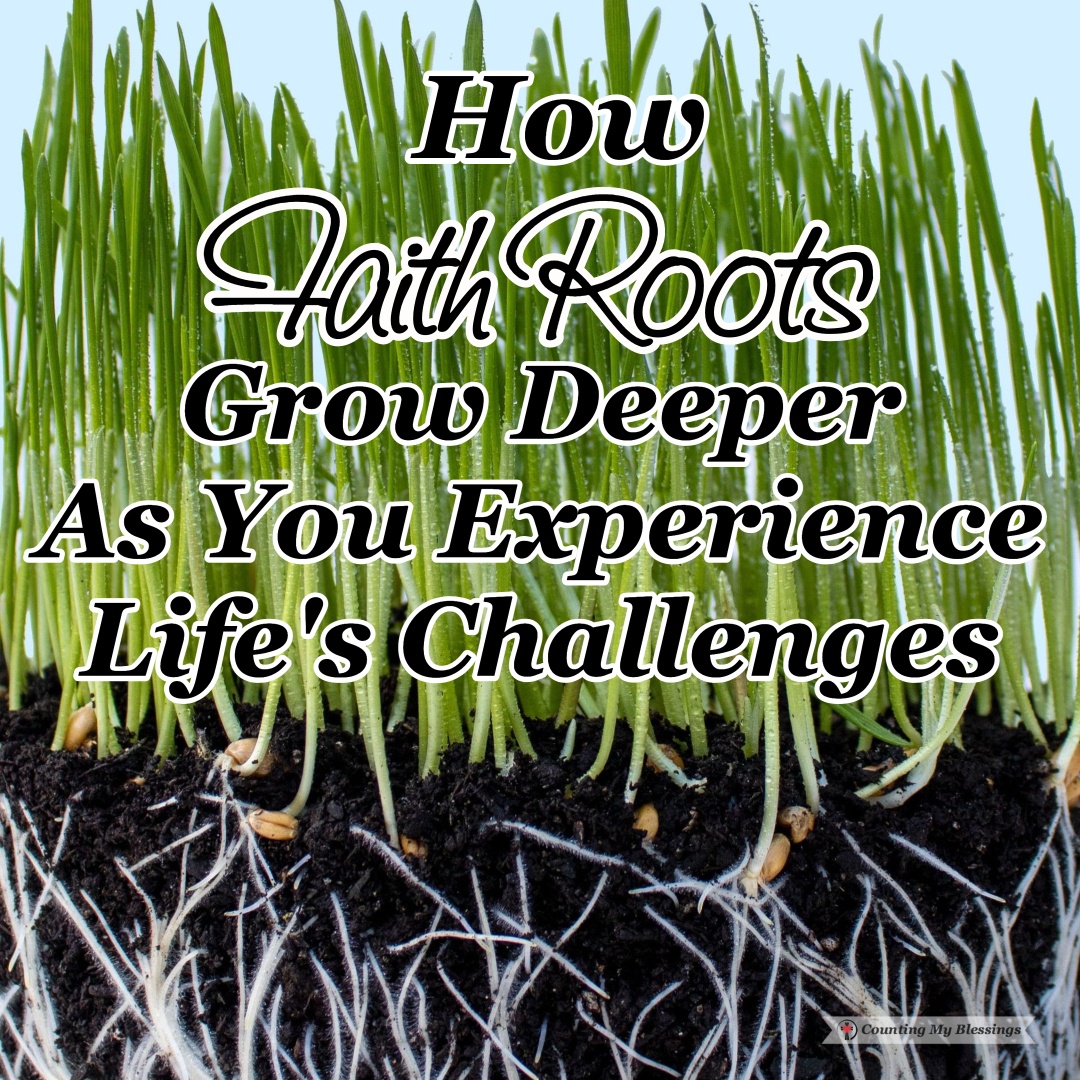How Faith Roots Grow Deeper As You Experience Life's Challenges