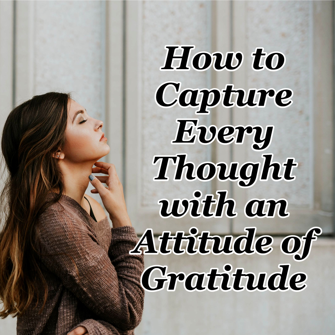 How to Capture Every Thought with an Attitude of Gratitude - Counting ...