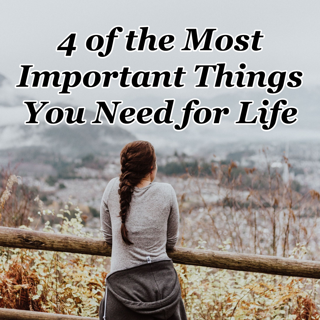 4 of the Most Important Things You Need for Life - Counting My Blessings
